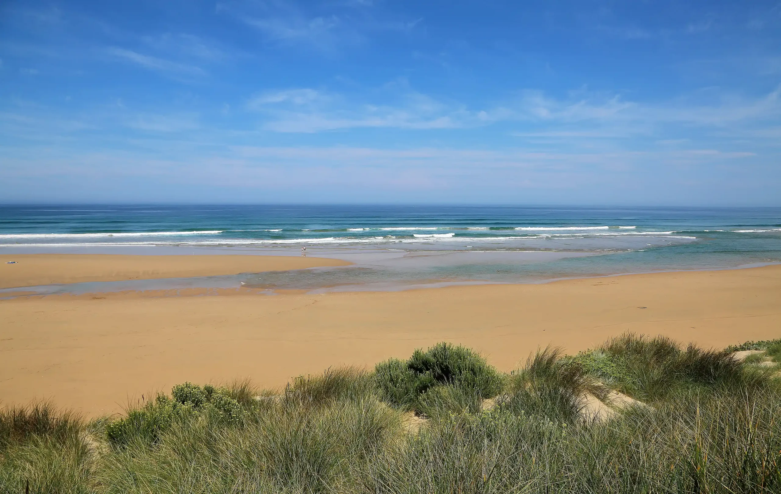 12-Year-Old Boy Reported Missing After Family Loses Track of Him While ...